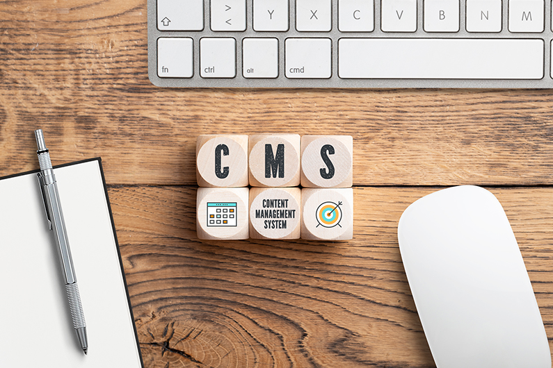 The Rise of Headless CMS in 2025: Why It's the Future of Web Development